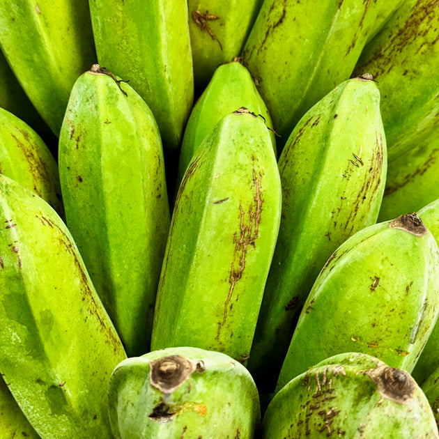Burro (Orinoco) Bananas | Fresh | Seeded | Alkaline + GMO Free ...