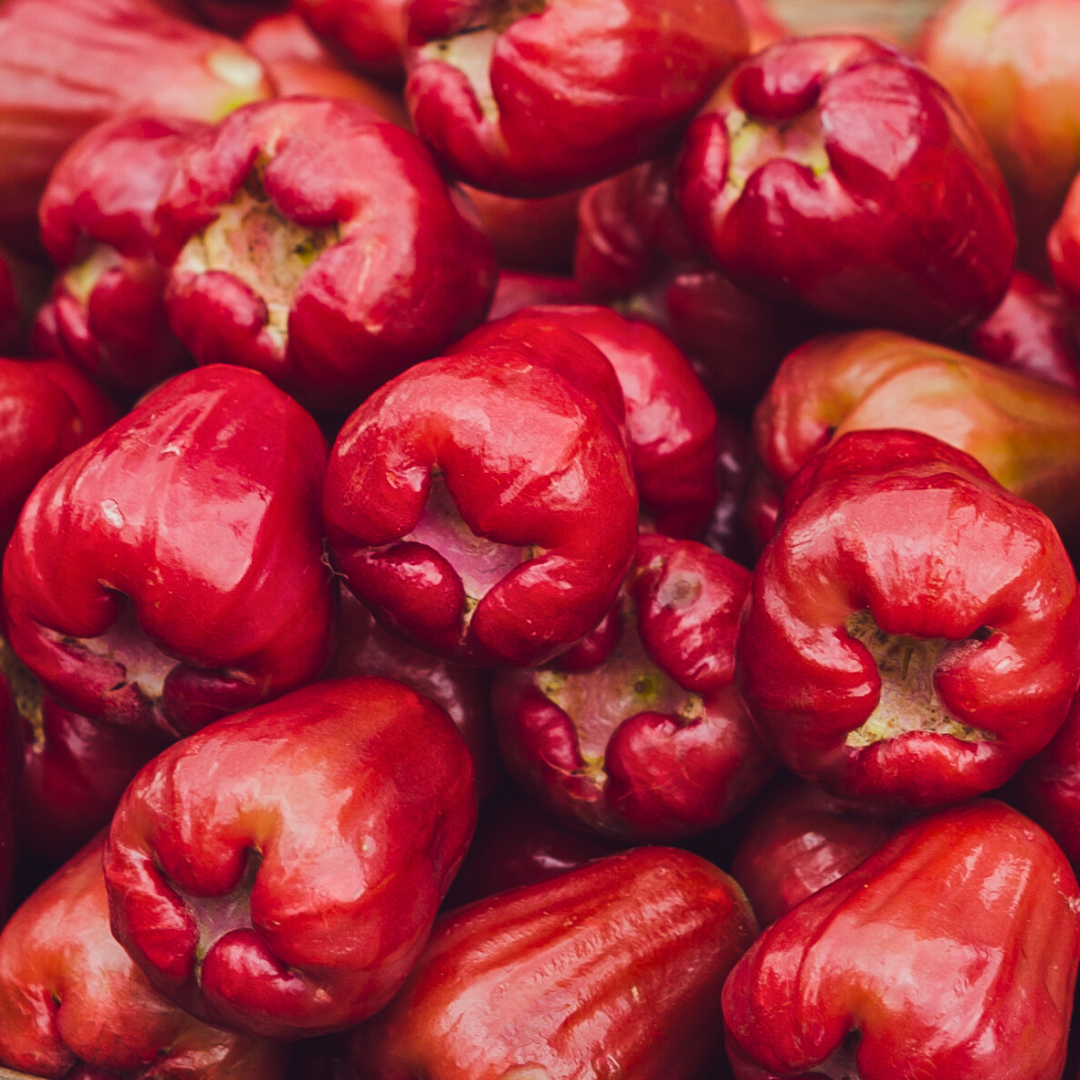 Otaheite Jamaican Apple – iHeartFruitBox