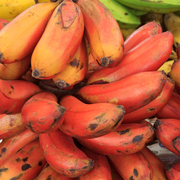 Red Banana (Cuban Red Banana) ***Pre-Order*** – iHeartFruitBox