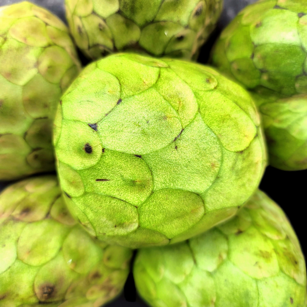 Buy Organic Cherimoya | GMO Free | Delivered To Your Door – iHeartFruitBox